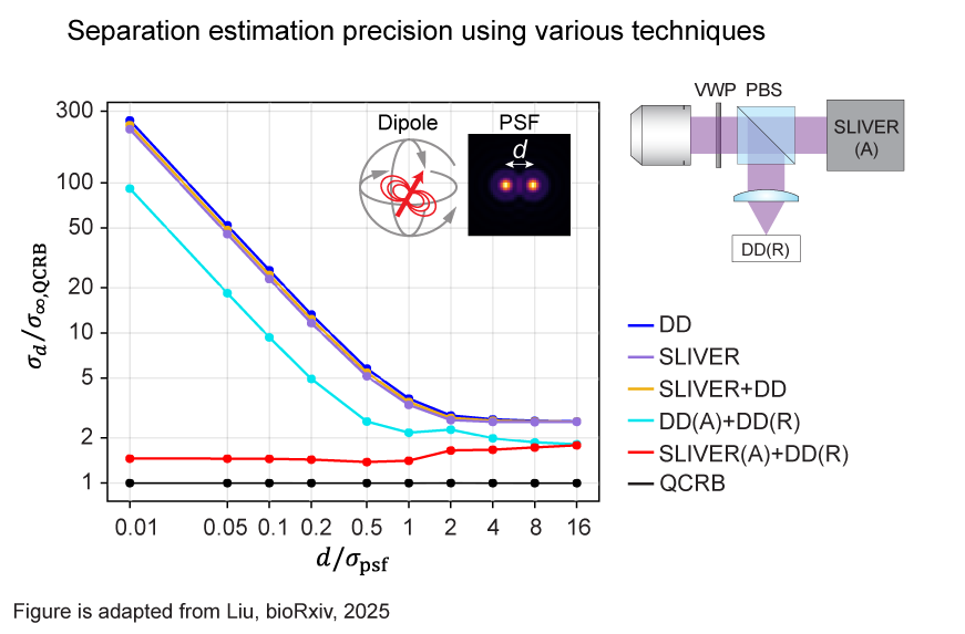 Research | Liu Lab Clemson